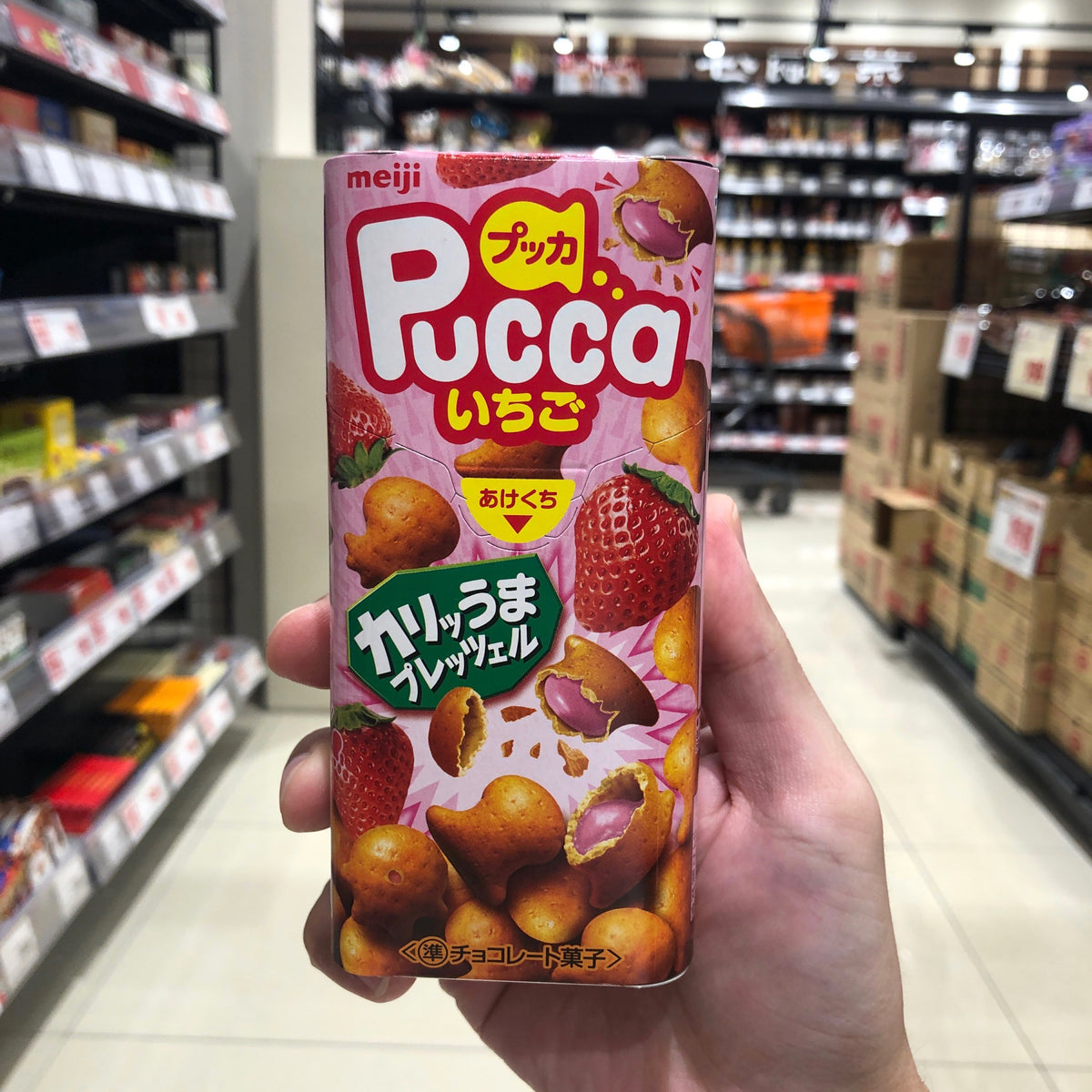 Meiji Pucca – hellojapanph