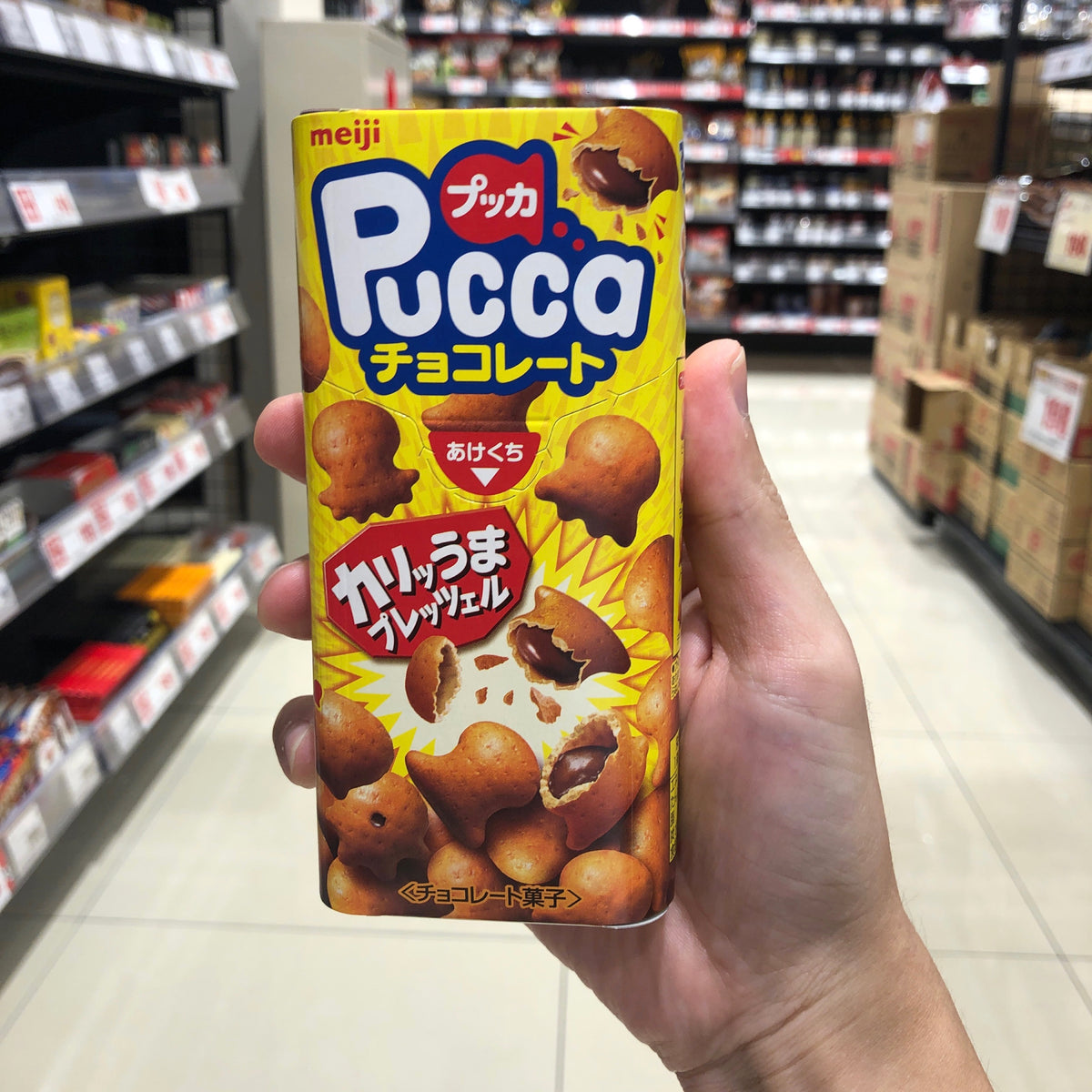 Meiji Pucca – hellojapanph